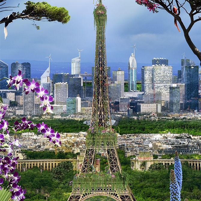 Chris Morin-Eitner - Galerie W - Galerie d'art contemporain à Paris