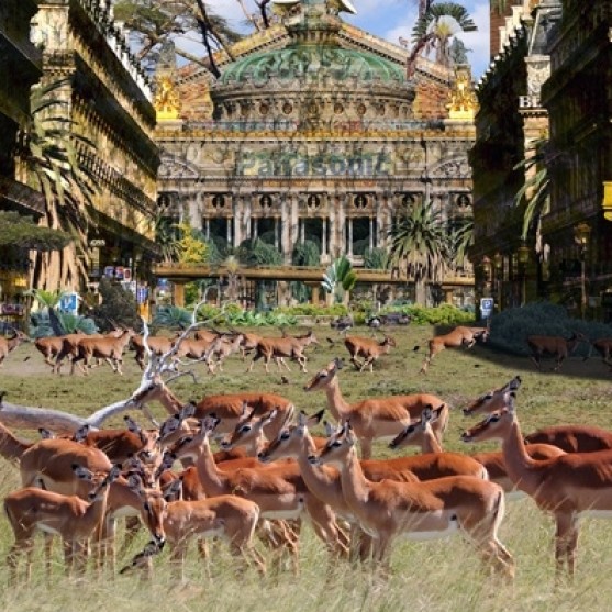 Chris Morin-Eitner - Galerie W - Galerie d'art contemporain à Paris